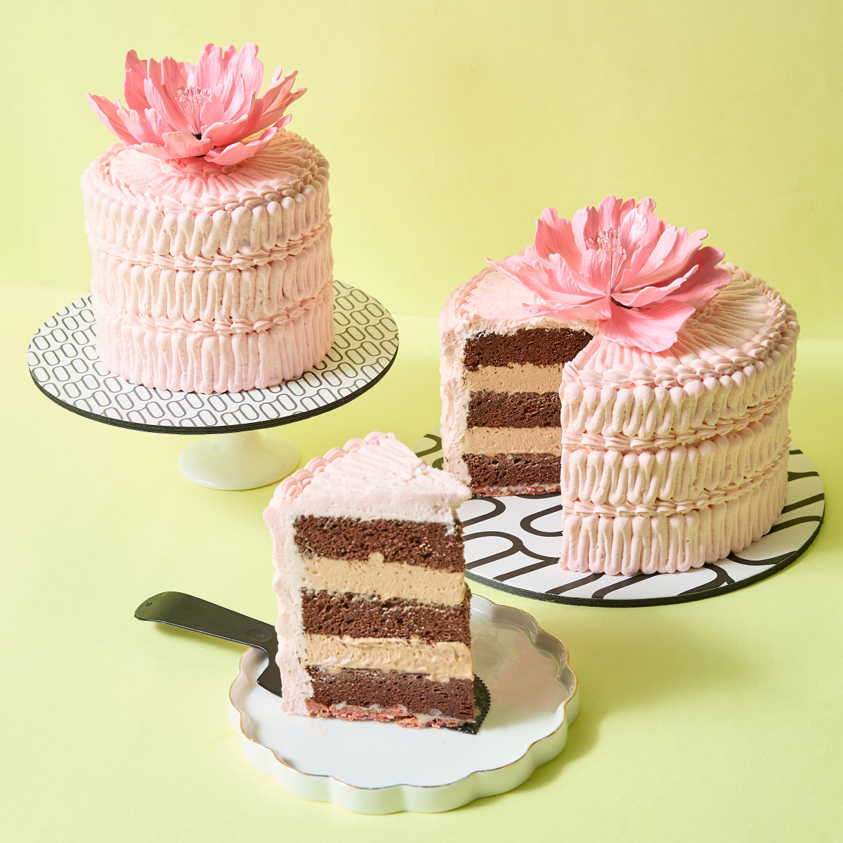 Valrhona Raspberry Chocolate Cream Cake – Oookie Cookie